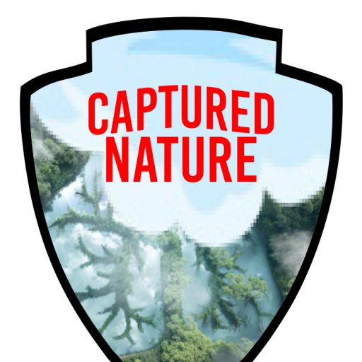 The Captured Nature Channel - Where Nature is the Star
