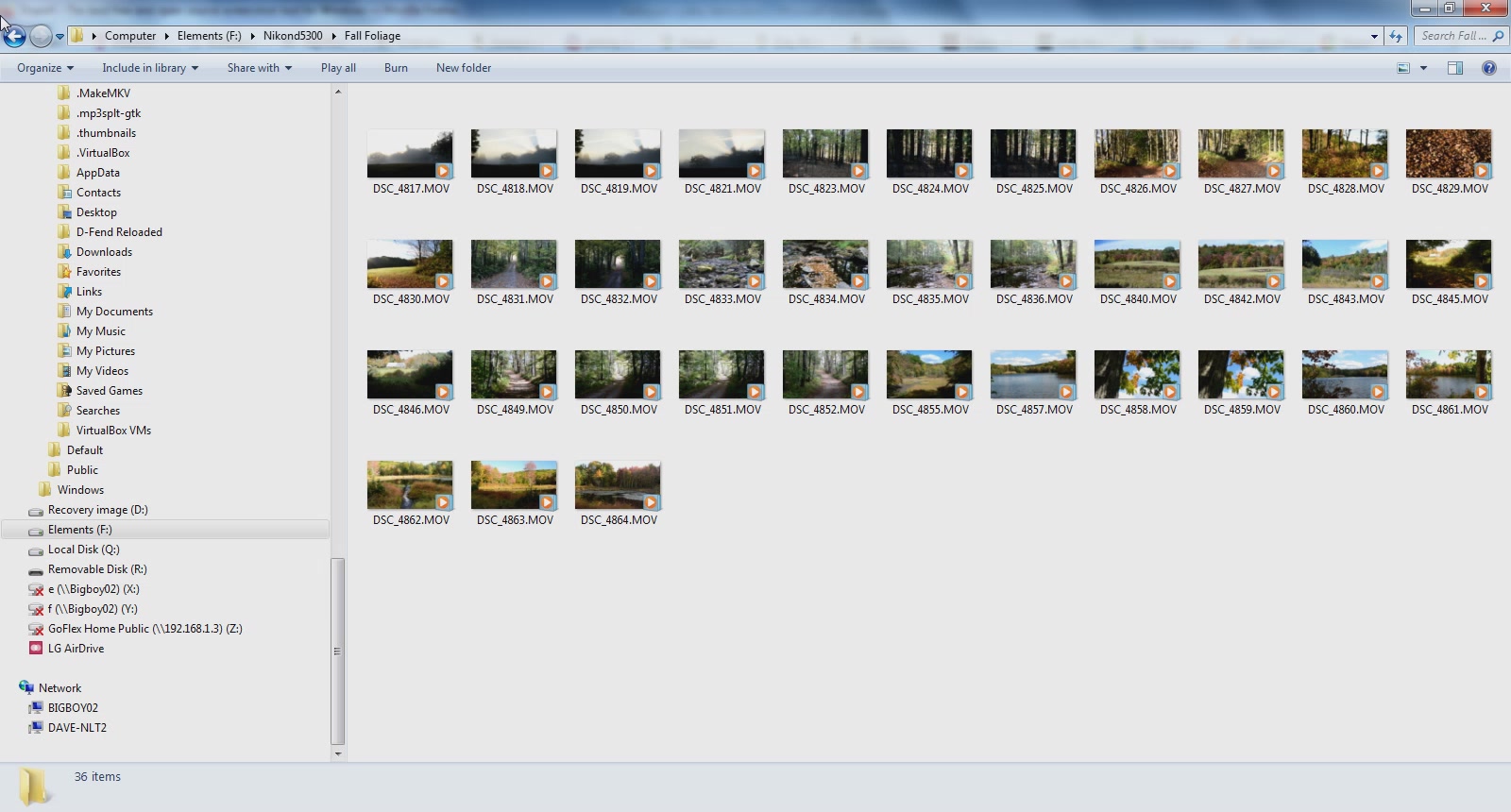 The Captured Nature Channel - Where Nature is the Star